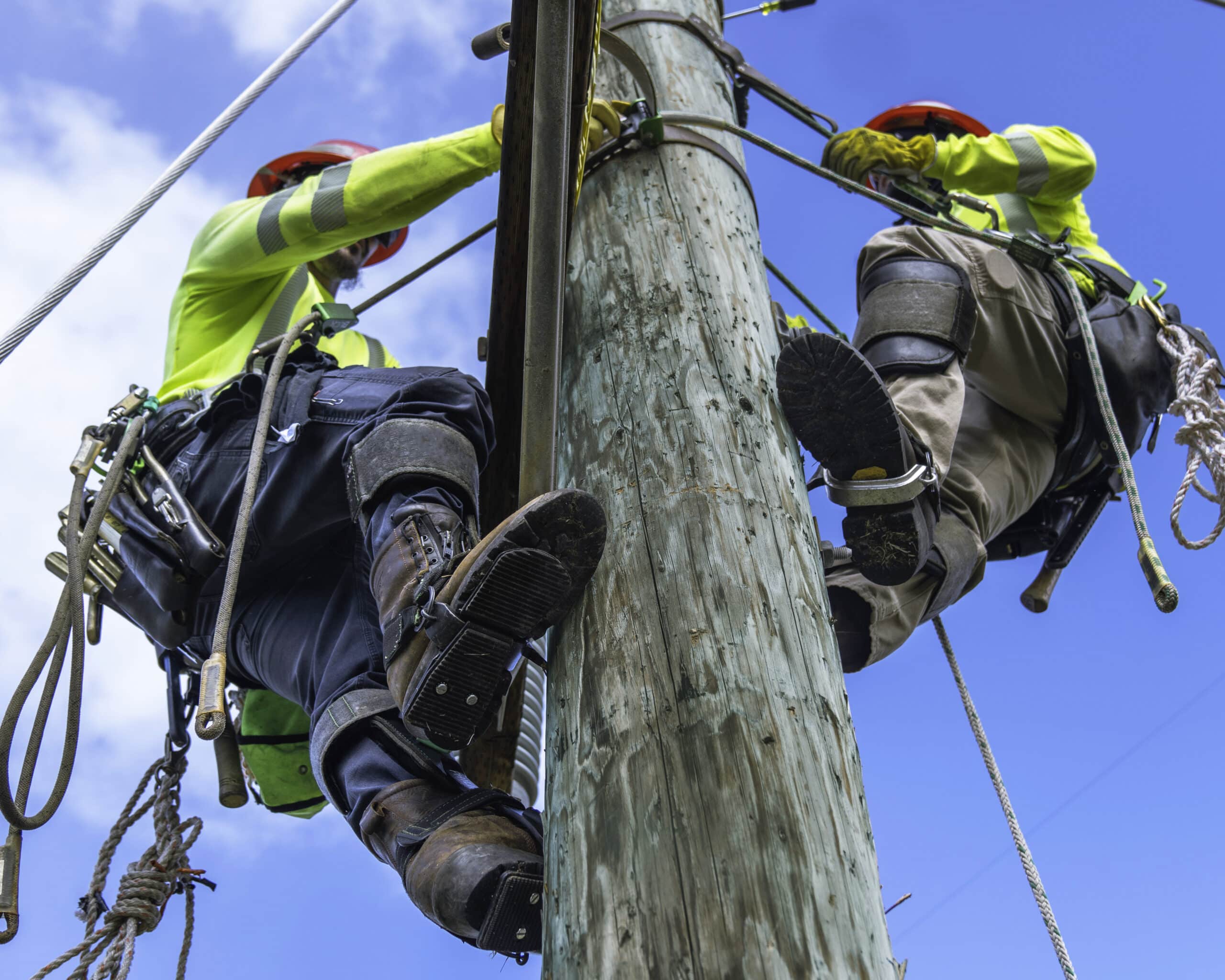 Utility Poles - Koppers UIP